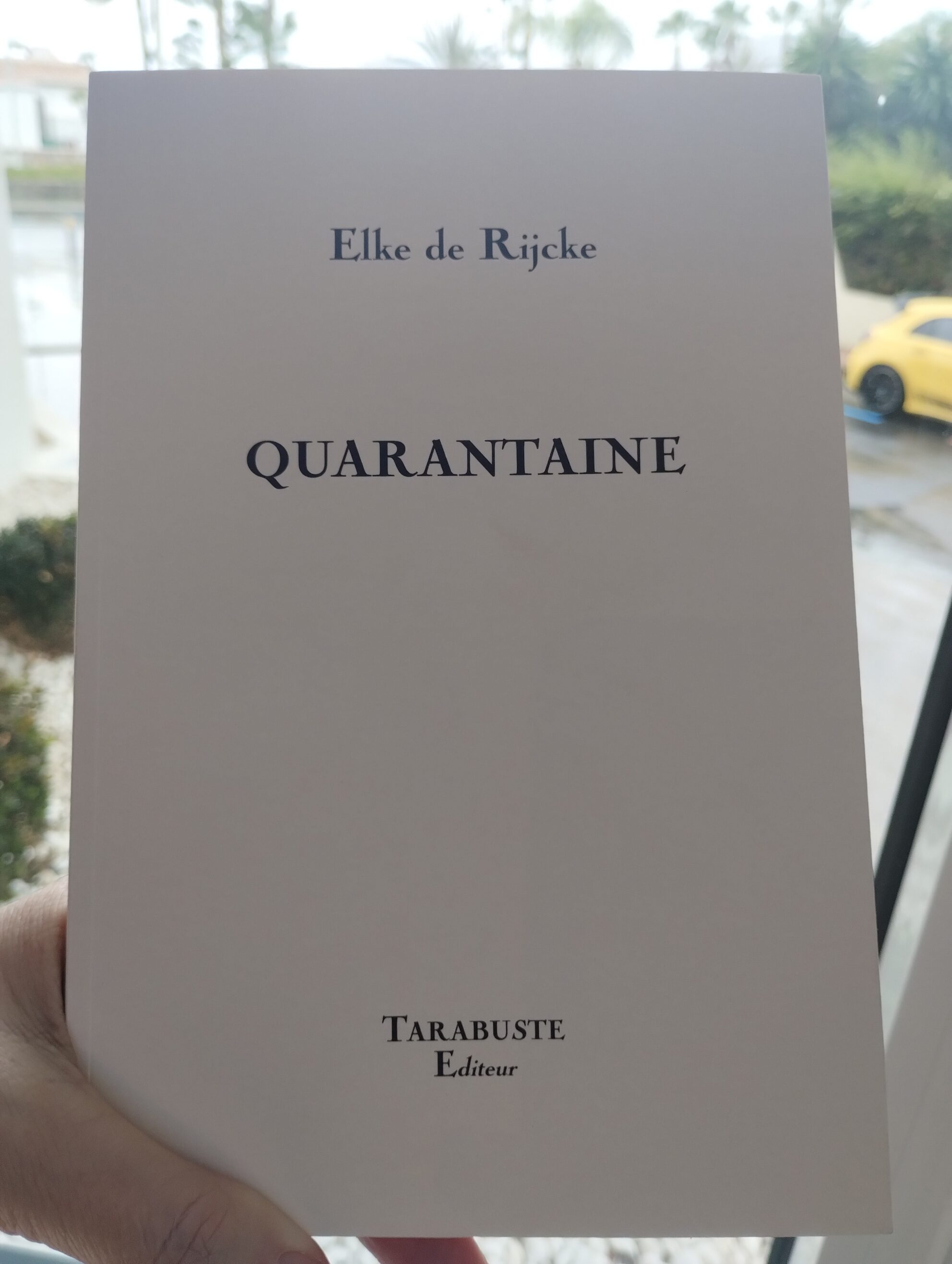 Work in Progress 2025-2027 : Alessandro de Francesco-Elke de Rijcke ...